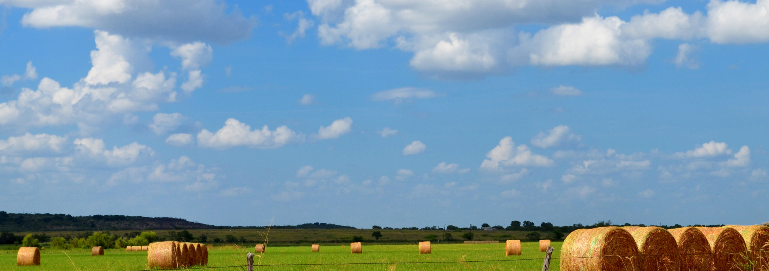 Clayton Waggoner - Texas Land for Sale